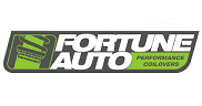 fortune auto - P1 Performance